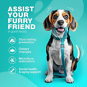 No Poo Chews for Dogs - Coprophagia Deterrent for Dogs - Forbid for Dogs Stool Eating Deterrent - Dog Probiotics for Digestive Health - Digestive, Gut & Immune Health Treats - No Poop Eating for Dogs