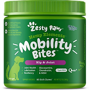 Allergy Immune Soft Chews + Hemp Seed for Dogs - with Curcumin + Glucosamine for Dogs with Hemp - Hip & Joint Dog Supplement with Chondroitin