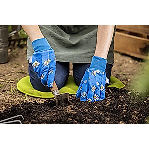 MUD Basic Women's PVC Dotted Palm And Daisy Printed Jersey Garden Glove, Extreme Comfort, Excellent Grip, Durable Wear, Blue, Medium/Large (M61001B-WML),MD61001B-WML