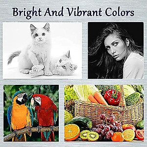 206A W2110A W2111A W2113A W2112A 2110A 2111A 2113A 2112A Compatible Toner Cartridge Replacement for HP Color Laserjet Pro M255DW M255NW M282NW M283CDW M283FDW Printe Magenta