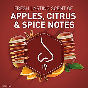 Old Spice Aluminum Free Deodorant for Men with 48 Hour Protection, Bearglove Scent, 3 Oz, Pack Of 3