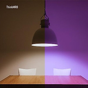 ThinkMRO RGB RGBW 10W A19 E26 E27 Multiple Colors Changing Light Bulbs with Remote,LED Lamp Replace Bulb,Warm White,Dimmable Memory Function,Ideal Lighting for Home Decoration,Party,Gardens,Corridors