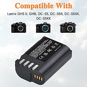 Pickle Power DMW-BLK22 Battery (2-Pack) for Panasonic Lumix DC-S5, DC-S5 II, DC-S5 IIX, GH5 II, GH6, S5II, S5IIX, S5M2, S5M2X, GH5M2, with Battery Storage Case
