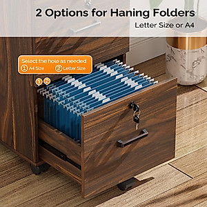 VINGLI 2 Drawer File Cabinet with Lock, Wood Dark Brown File Cabinet for Letter Size File Folders with Tabs, Under Desk Rolling File Cabinets for Home Office, Mobile Filing Cabinet Printer Stand