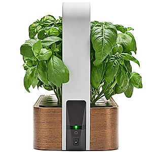 edn SmallGarden with Basil SeedPods, Indoor Grow Smart Garden Starter Kit for Fresh Home Grown Herbs, Plants and Flowers