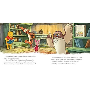 Winnie the Pooh: Pooh's Secret Garden (Disney's Winnie the Pooh)