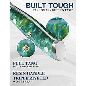 WILDMOK Chef Knife, 8 inch Damascus Japanese Kitchen Cooking Knife,Japanese VG10 Steel Green Resin Handle kitchen knives,Damascus chef's knives Including Gift Box