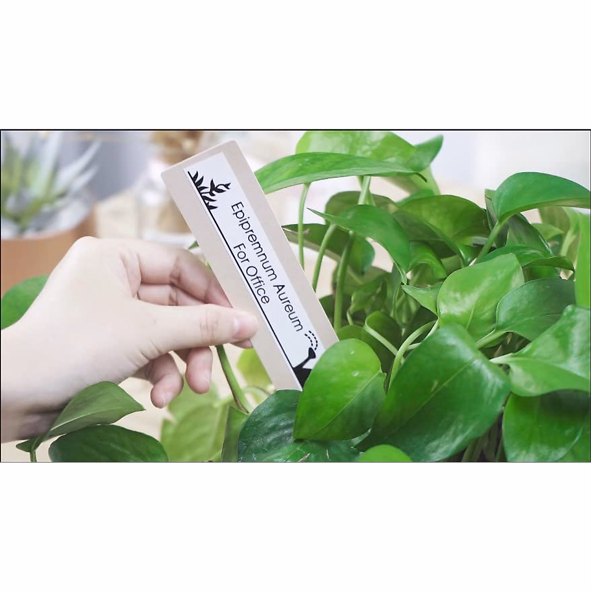 TZ Tape 18mm 0.7 Laminated White Replacement for Brother TZe-241 TZe241 P-Touch Label Tape Work with Brother Label Maker PTD600 PT-D610BT PT-D410 PTD400 PT-1830 PT-2430, 3/4 Inch x 26.2 Feet, 4-Pack