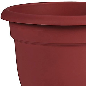 Bloem Ariana Self Watering Planter: 12" - Burnt Red - Durable Resin Pot, for Indoor and Outdoor Use, Self Watering Disk Included, Gardening, 3 Gallon Capacity