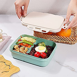 Dicunoy 4 Pack Bento Box, Lunch Box Container with 3 Compartments for Kids, Easy Snack Boxes with Utensils for Dinner, Salad, Toddler, Adults, School, Work