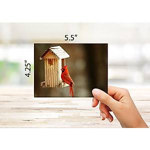 Small World Greetings Song Bird Note Cards With Identification Card 12 Count-Blank Inside with White Envelopes-A2 Size 5.5" x 4.25"-Bird Stationery-All Occasion-Birthday, Thank You, and More