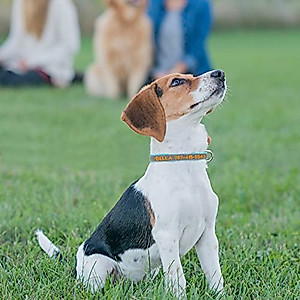 Reflective Personalized Dog Collar - Custom Embroidered Dog Collars with Pet Name and Phone Number for Boy and Girl Dogs, 4 Adjustable Sizes, XSmall,Small, Medium and Large