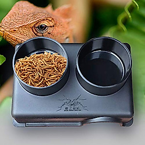 POPETPOP Panda Bear Stuffed Animal Reptile Hideaway,3-in-1 Reptile Hide with Water and Food Bowls-Reptile Dish Plastic for Snake Spider Lizard Scorpion Observation Box Stuffed Animals