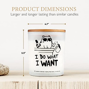 Cat Gifts for Cat Lovers - Cat Lovers Gifts for Women Funny Cat Mom Pet Candle, Christmas Cat Stuff for Cat Dad Gifts, Cat Decor for Room, Bathroom, Home Office Desk Decorations, Crazy Cat Lady Things