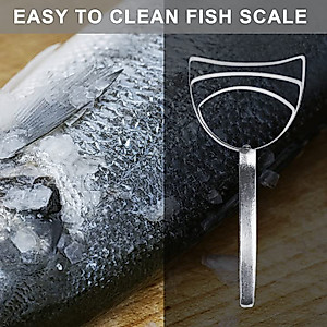 BOLEXINO Professional Square Stainless Steel Bone Dust Scraper- Catering Kitchenware Square Bone Dust Remover (2 pack)