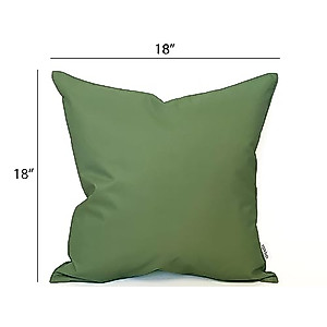 Ensperta Pack of 2 Outdoor 18x18 Waterproof Green Throw Pillow Covers Decorative Square Patio Pillows for Patio Furniture (Loden Frost)