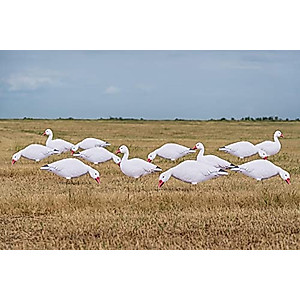 Avery Pro-Grade Silhouette Decoys Canada Snow Goose - 7002