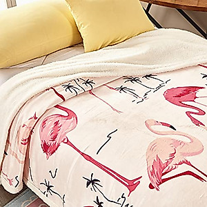 VINILITE Sherpa Fleece Throw Blanket Flamingo Print 60"x80", Ultra Soft Cozy Plush Fluffy Kid Blanket for Couch Sofa Bed, Warm Lightweight Fuzzy Throw Blanket for All Season (Twin, Pink)