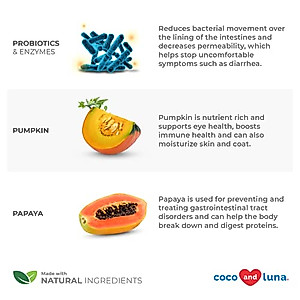 Probiotics for Dogs - 120 Chewable Tablets - Diarrhea & Gas Support for Dogs - 5.5 Billion CFUs with Digestive Enzymes and Prebiotics - Dog Allergies, Bad Dog Breath & Constipation Support