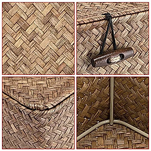 Hipiwe Wicker Shelf Baskets Bin with Lid, Handwoven Seagrass Basket Storage Bins Rectangular Household Basket Boxes for Shelf Wardrobe Home Organizer, Coffee Small