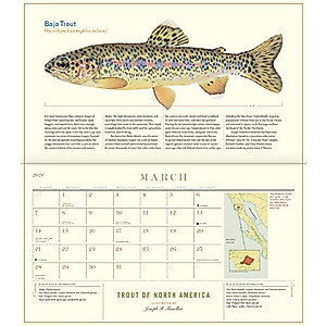 Trout of North America Wall Calendar 2021