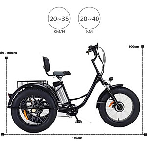 便利100 Outdoor 20'' Fat Tyre Electric Bicycle for Adult with 500W Motor, 48V Battery 3 Wheel E-Bike for Seniors Leisure Rides Front Rear Baskets, 7 Speed Farm Vegetables and Fruits Transport
