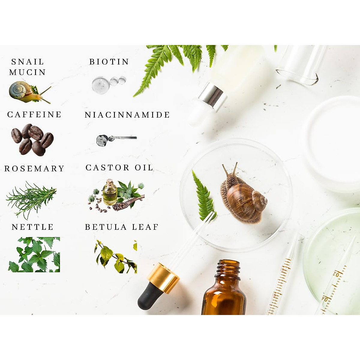 ZAIN1 Natural Hair growth Shampoo With Snail Mucin, Rosemary, Biotin, Niacinamide, Castor oil and Caffeine.(Mimosa, 8.45 oz) pH Level 5.2