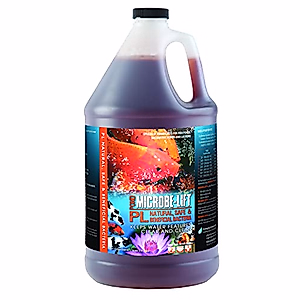 MICROBE-LIFT PL Pond Bacteria and Outdoor Water Garden Cleaner, Safe for Live Koi Fish, Plant Life, and Decor (1 Gallon)