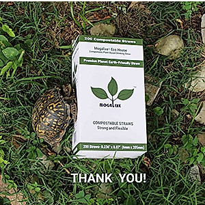 Compostable Straws, 200 Count Total, Mogalixe Certified Drinking Straws, 100% Plant-Based, Flexible, Paper Wrapped, Alternative to Plastic, Great for On The Go, Home, Restaurants... (200-Straws)