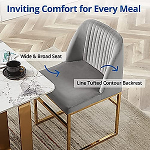 Cozy Castle Modern Dining Chair Set of 2, Upholstered Dining Room Chairs with Gold Metal Base, Classic Velvet Fabric Kitchen Chairs, Gray