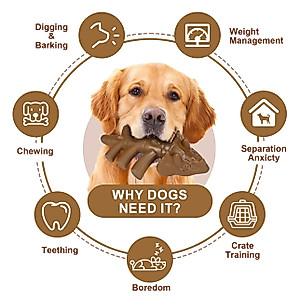 Durable Dog Chew Toy for Aggressive Chewers, Dinosaur Shape, Medium, Beef Flavor.