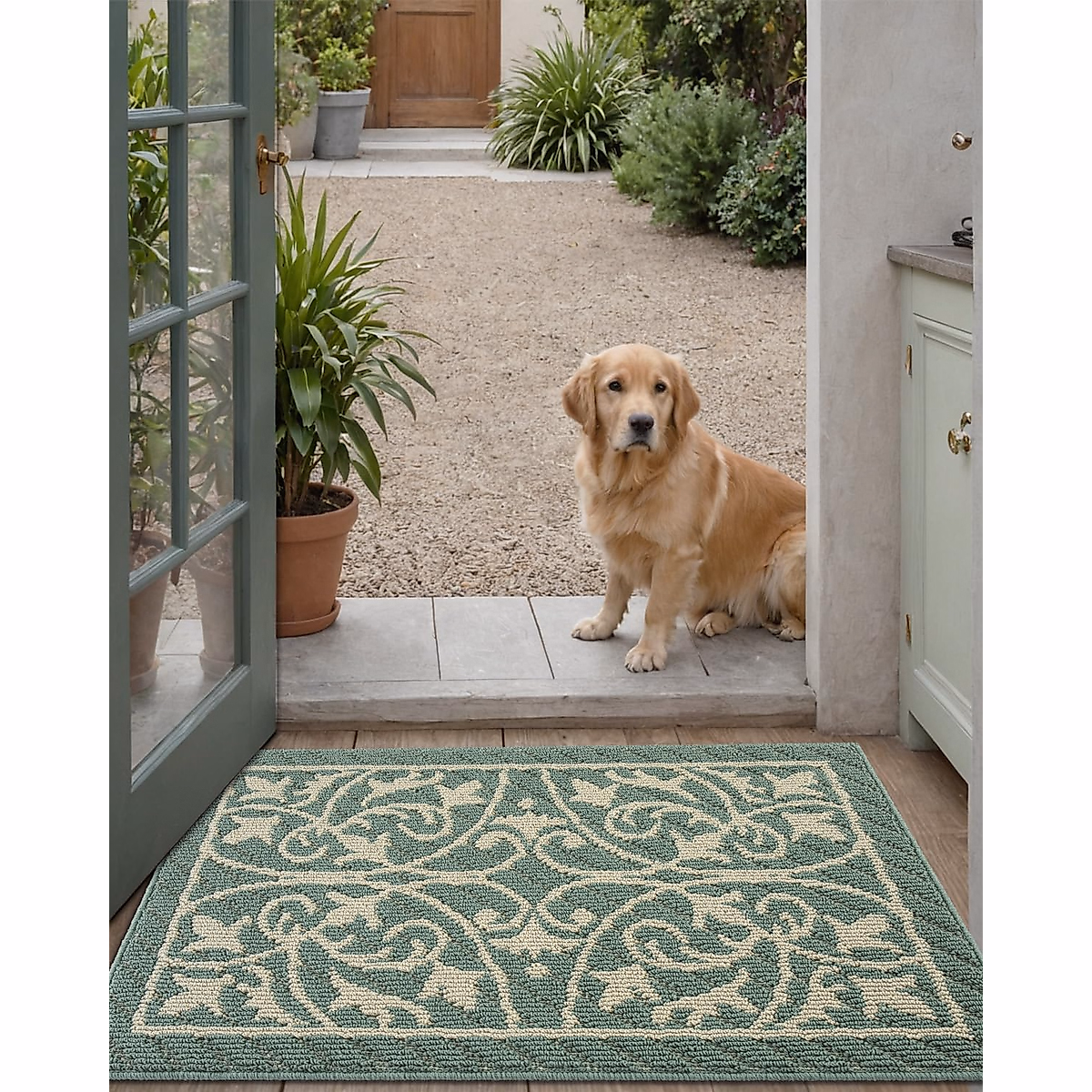 DEXI Front Door Mat Entryway, Inside Entrance Doormat, Non Slip Washable Entry Mats, 23.5x35.5,Dark Sea Green