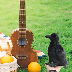 Whrigud Realistic Crow Plush, Cute Black Raven Stuffed Animal Plush Pillow Toys, Soft Little Bird Raven Stuffed Toys Doll for Birthday Kids Gifts Home Decor 9.44''