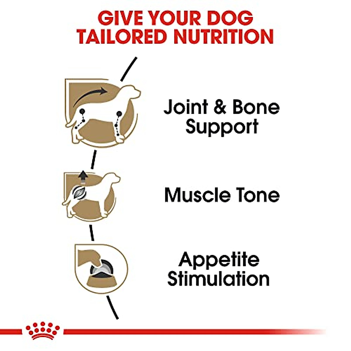 Royal Canin Breed Health Nutrition Dachshund Loaf in Gravy Pouch Dog Food, 3 oz Pouch (Pack of 12), 723085