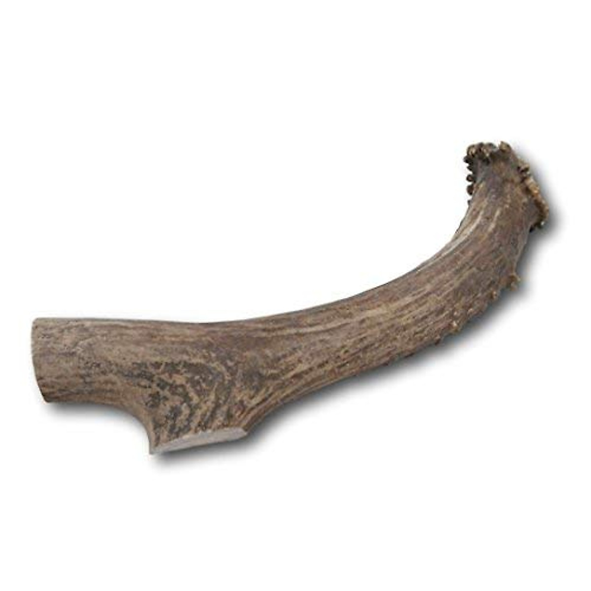 Top Dog Chews Large 6"-9" Long -Antler Dog Chew From Single Antler