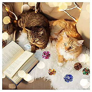 Andiker Cat Crinkle Balls, 2.36 Inches Colorful Cat Balls Chew and Chase Cat Mylar Crinkle Balls Lightweight Cat Toys for Indoor Cats to Keep Fit and Active (10 pcs) (10pc)