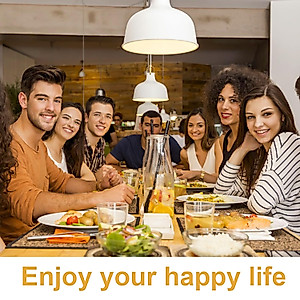 Ugvmn G4 Halogen Light Bulbs 20W 12V Clear Capsule Halogen Light Bulb 2 Pin Warm White 2700K Dimmable, Bi-Pin G4 Base for Cooker Hood, Crystal Chandeliers, Bathroom, 10 Pack