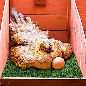 6 Pcs Artificial Grass Rug,Chicken Nesting Pads Carpet for Chicken Bedding Nesting Box Pads, 12"x12" Washable Synthetic Grass Pads for Chicken Coop Laying Box for Laying Eggs, Sturdy, Reusable