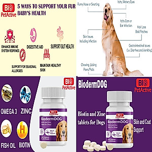 Bio Pet Active BiodermDOG 0.5 Zinc and Biotin Tablets for Dogs, Immune System, Skin, Coat and Nail Support for Dogs, 1.32 oz, 75 Chewable Tablets