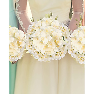 Auihiay 12 Pieces Artificial Hydrangea Flowers Silk Hydrangea Heads with Stems for Wedding Home Garden Party Decoration (Champagne)