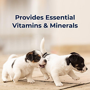 Pet-Ag PetLac Liquid for Puppies - 32 oz - Ready-to-Feed Milk Replacement for Puppies Newborn to Six Weeks Old - Easy to Digest