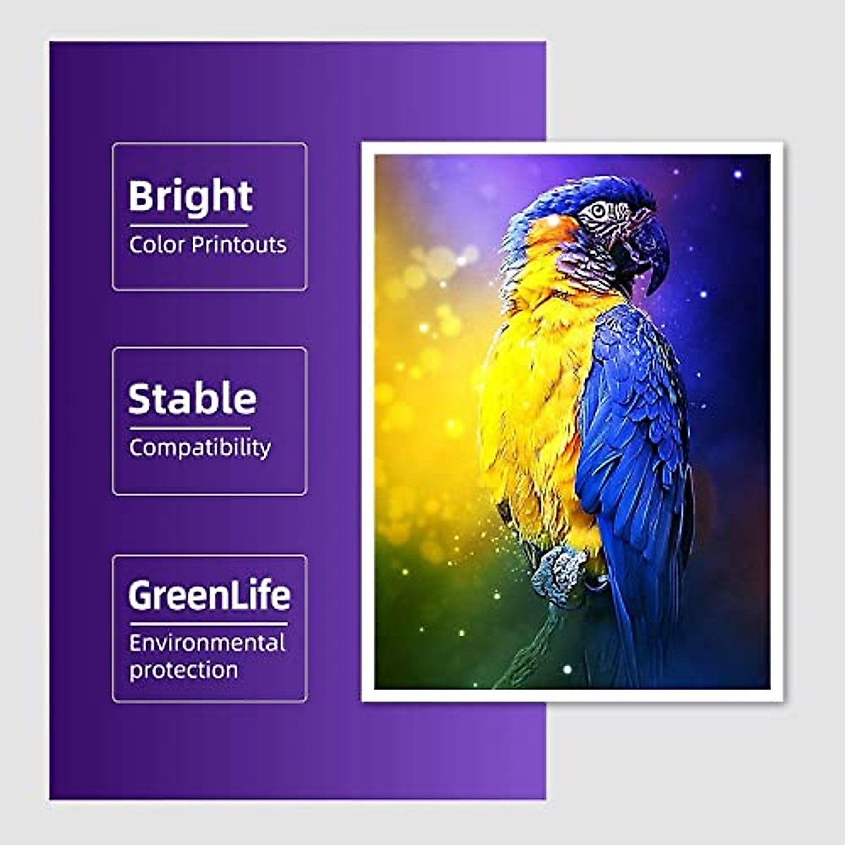 LC3019 3019 3017 Ink Cartridges Replacement for Brother LC3017XL LC3019XL Work for MFC-J5330DW MFC-J6930DW MFC-J6530DW MFC-J5335DW MFC-J6730DW Ink Cartridges (Black, , Cyan, Magenta, Yellow, 4 Pack)