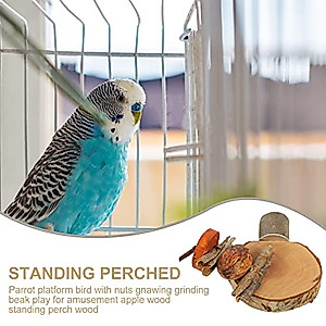 PATKAW Guinea Pig Natural Wooden Round Platform Bird Cage Branches Parrot Wooden Blocks Bird Nuts Toys for Budgie Conure Parrot Parakeet Cockatiel Lovebird Cage Accessories Rabbit Toys