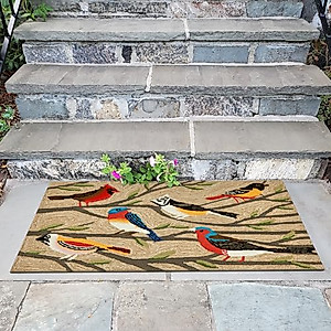 Liora Manne Frontporch Birds Indoor/Outdoor Rug, 2 x 3 ft, Multi