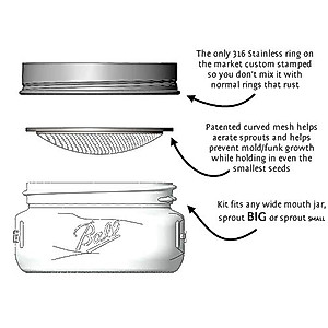 Organic Broccoli Sprout Growing Kit - Includes 316 Stainless Steel Sprouting Lid, Sprout Stand, and Organic Non-GMO Broccoli Sprouts Seeds - Complete Broccoli Sprout Kit by Handy Pantry & Trellis + Co