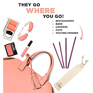 Reusable Stainless Steel Straw Set of 4 - Shorter Lengths (6.5" and 7.5") for Cocktails and Beverages. Travel Case and Cleaning Brush - Perfect for On The Go or Entertaining at Home (Purple Haze)