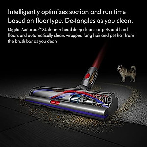 Dyson Outsize+ Cordless Vacuum Cleaner