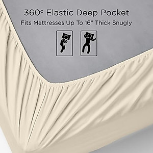 1000 Thread Count 100% Egyptian Cotton Sheets Set King Size Ivory Bed Sheet 4 Piece bed sheet Sets Long Staple 16 Inches Deep Pocket All Season Bedding Super Soft Breathable Sateen Finish