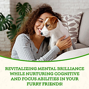 Animal Essentials Brain Awake for Dogs & Cats - Cognitive Support Supplement, Senior Support, Lion's Mane, Brain Health, Herbal Formula - 1 Fl Oz