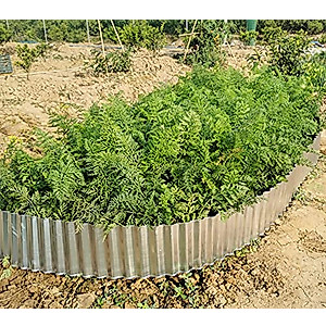 Landscape Edging Borders,Corrugated Metal Garden Lawn Edging for Vegetable,Flower Beds, Patios and Courtyard Fence